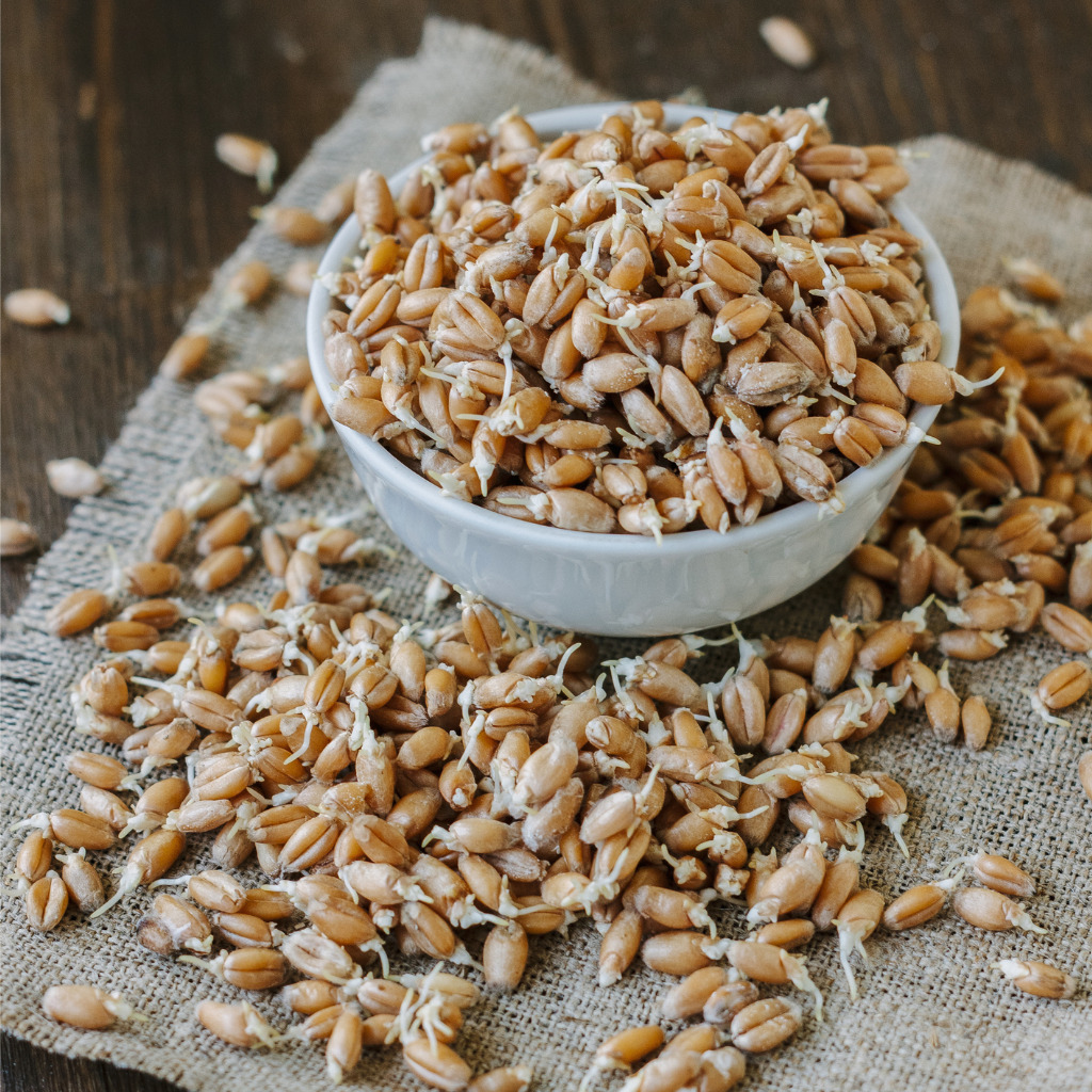 Sprouted Wheat Flour - The Millet Store