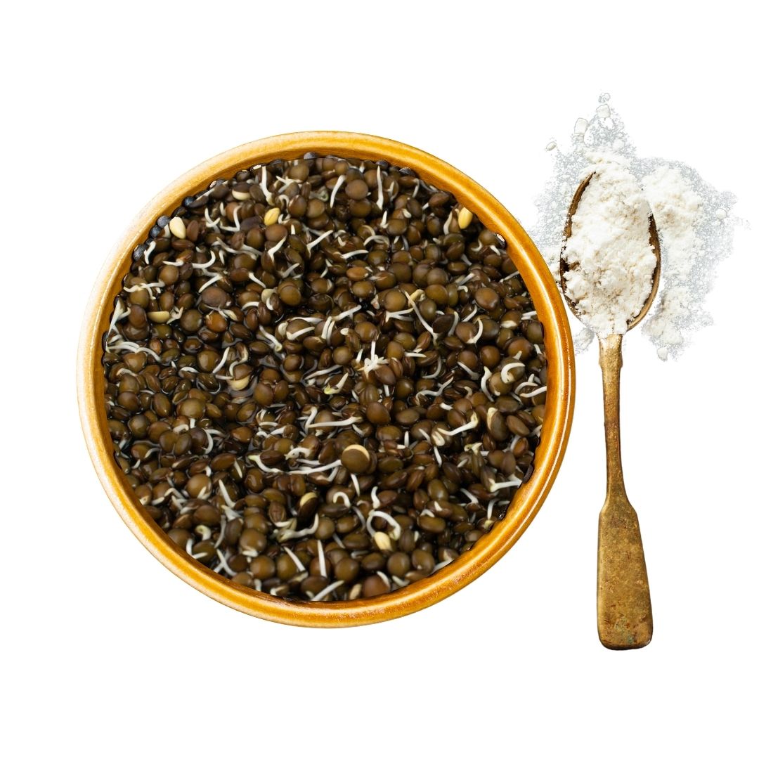 Sprouted Black Urad Dal Flour - The Millet Store