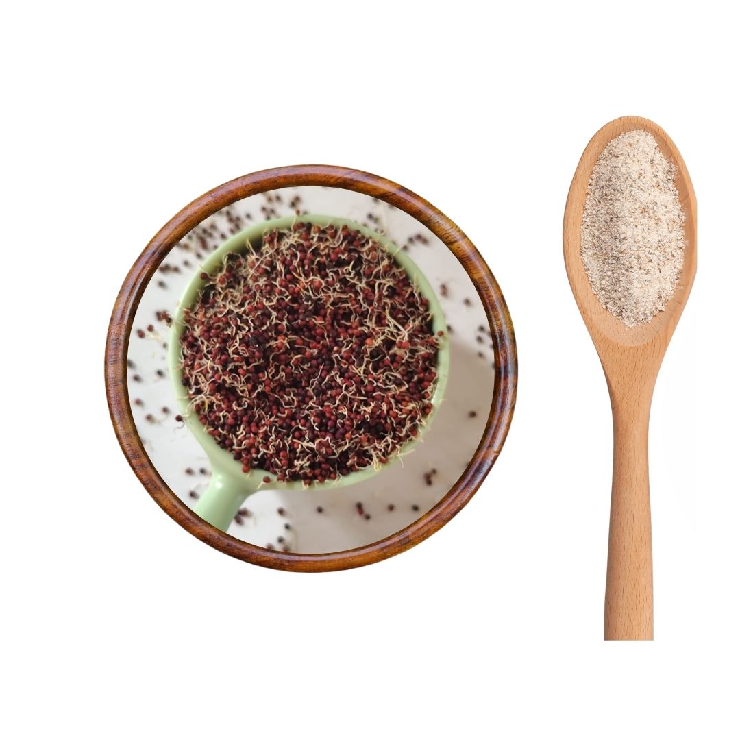 Sprouted Ragi flour - The Millet Store